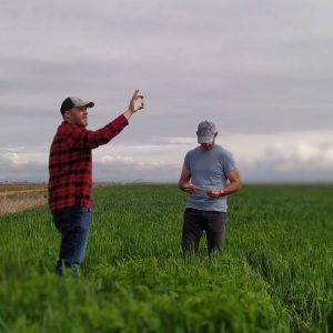 BeCrop Test - Biome Makers